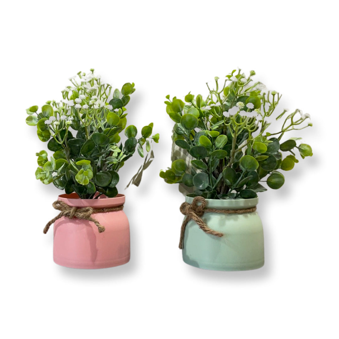 www.surekhdecor.com – SUREKH DECOR